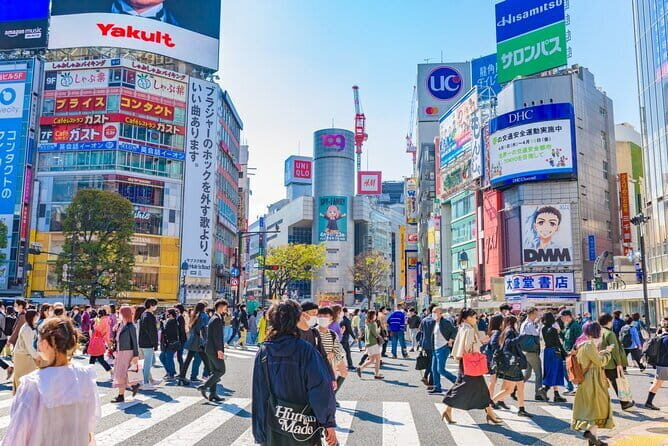 Tokyo Full Day Customize Private Tour with English Guide - Key Points
