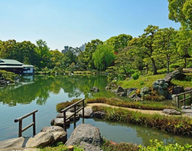 Tokyo: Full-Day Japanese Garden Private Guided Tour - An Insider’s Look at Tokyo’s Garden Scene