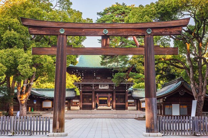 Tokyo Full Day Private City Tour - Serenity at Meiji Shrine