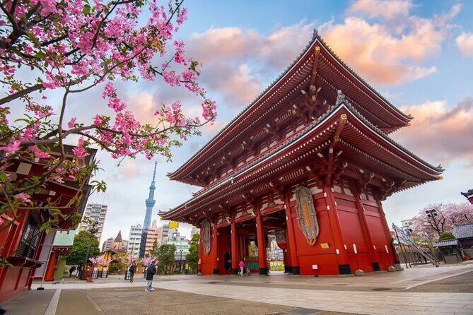 Tokyo Full Day Private City Tour - The Comfort of Private Transportation and Modern Conveniences