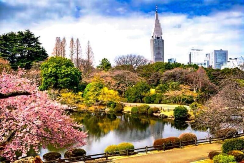 Tokyo Full-Day Private Customizable Tour With English Driver - What to Expect from the Tokyo Full-Day Private Tour