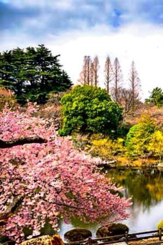 Tokyo Full-Day Private Customizable Tour With English Driver - The Sum Up