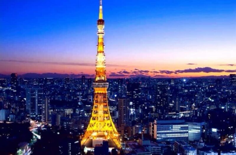 Tokyo Full-Day Private Customizable Tour with English guide - Key Points
