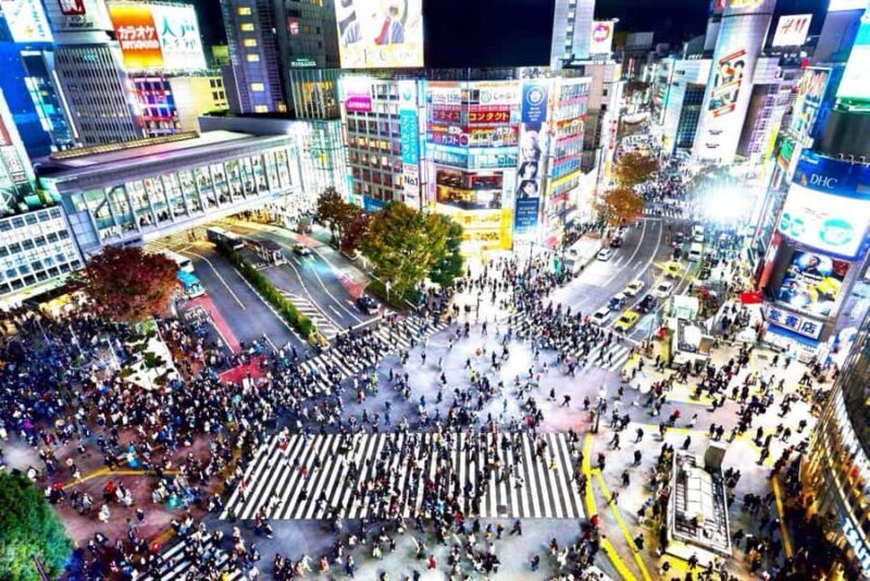 Tokyo Full-Day Private Customizable Tour with English guide - What You Can Expect from the Tour