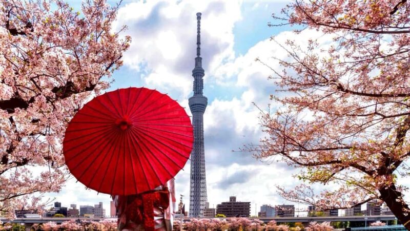 Tokyo Full-Day Private Customizable Tour with English guide - Authentic Interactions and Guide Insights
