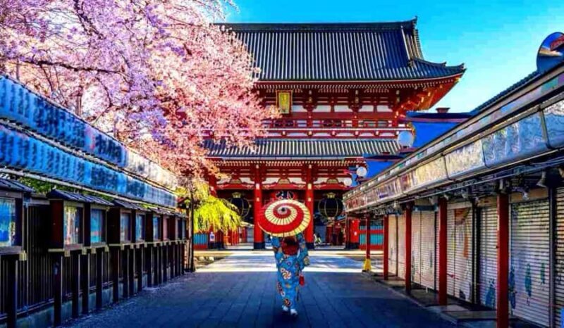 Tokyo Full-Day Private Customizable Tour with English guide - Analyzing the Value