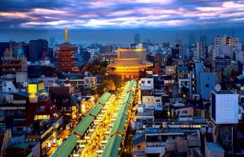 Tokyo Full-Day Private Customizable Tour with English guide - The Sum Up