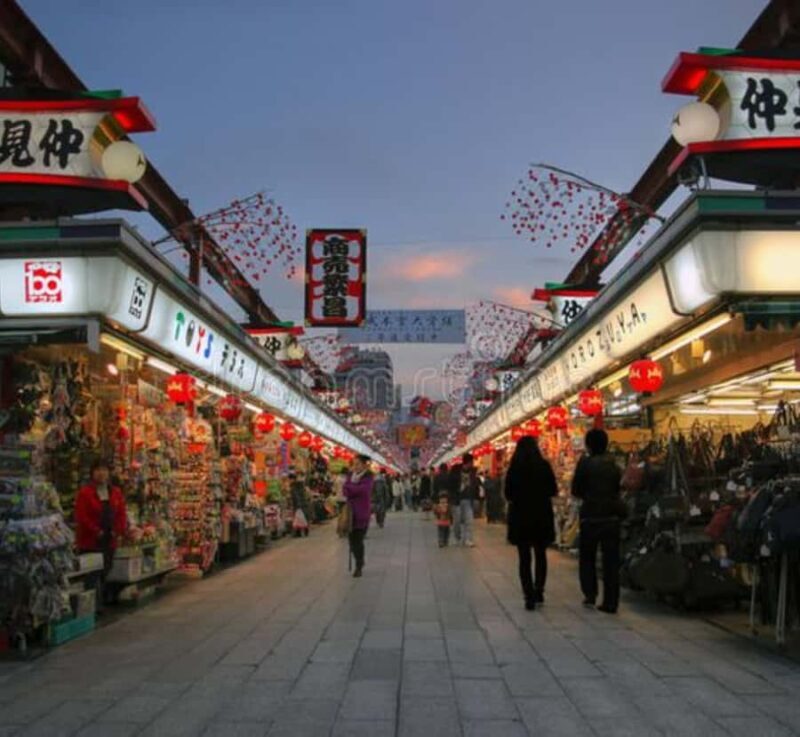 Tokyo Full Day Private Customizable Tour with Guide - Introduction