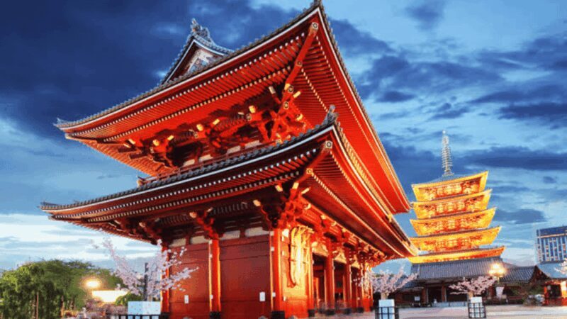 Tokyo Full day Private Customized Tour with English Driver - Key Points