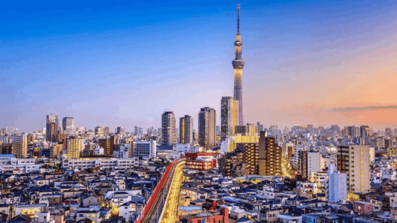 Tokyo Full day Private Customized Tour with English Driver - An In-depth Look at the Tour Experience