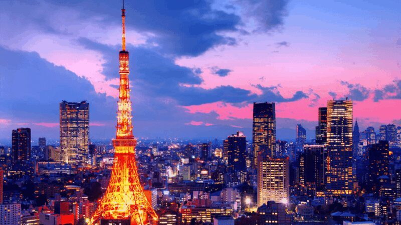 Tokyo Full day Private Customized Tour with English Driver - FAQs