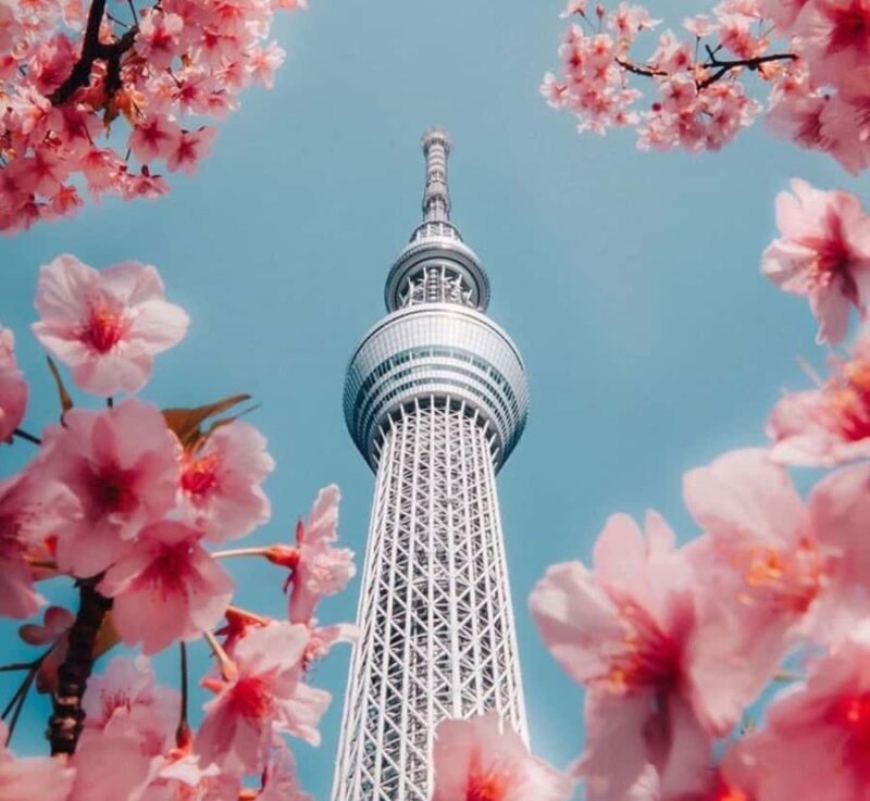 Tokyo Full Day Private Day Tour with English Speaking Guide - A Practical Guide to the Tokyo Full Day Private Tour