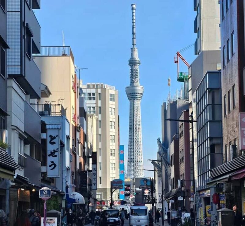 Tokyo Full Day Private Day Tour with English Speaking Guide - Who Would Enjoy This Tour?