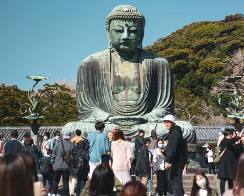 Tokyo: Full-day Private Kamakura and Enoshima Tour w/ Driver - Exploring Japans Coastal Charm and Historic Heart: A Review of the Private Kamakura and Enoshima Tour