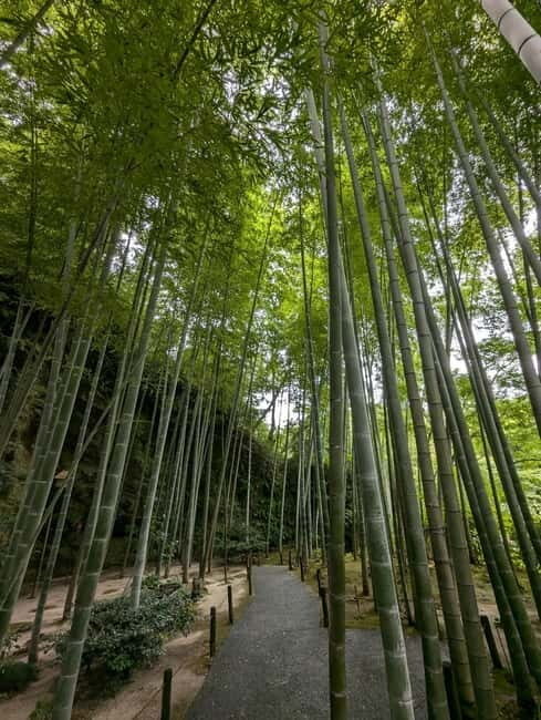 Tokyo: Full-day Private Kamakura and Enoshima Tour w/ Driver - Practical Tips for Your Day