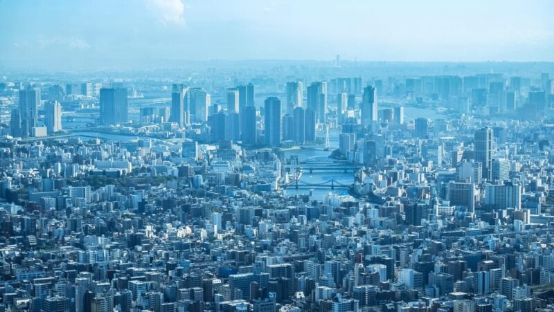 Tokyo: Full Day Private Tour by Luxury Vehicle - Who Will Love This Tour?