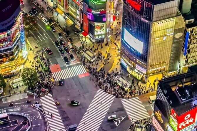 Tokyo Full-Day Private Walking Tour Fully Personalized - Key Points