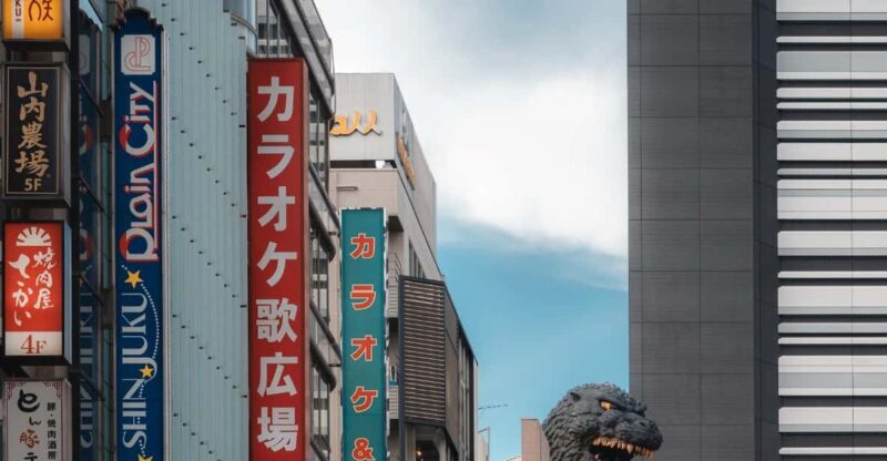 Tokyo full day Spanish speaking tour with hotel pick up and drop off. - FAQs