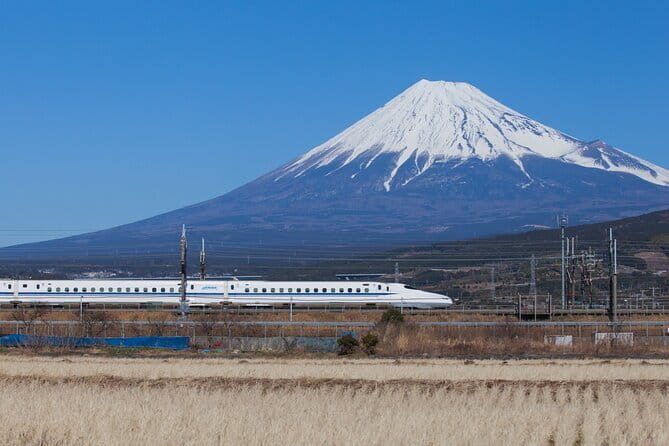 Tokyo Full Day Tour and Sightseeing with local guide - The Sum Up