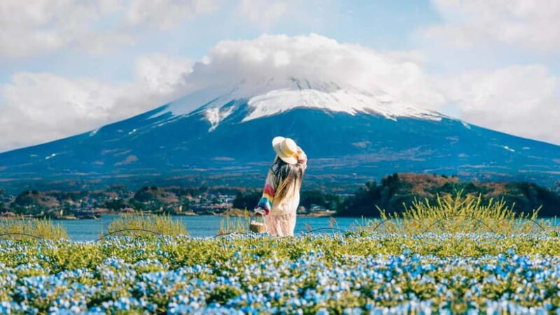 Tokyo: Full-Day Tour of the Six Majestic Spots of Mt Fuji - An Overview of the Tour Experience
