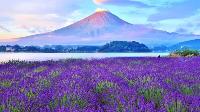 Tokyo: Full-Day Tour of the Six Majestic Spots of Mt Fuji - What to Expect and Practicalities