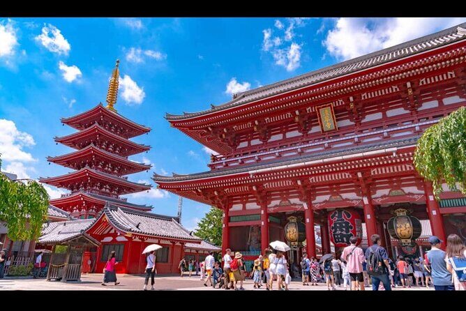 Tokyo full day tour with English speaking driver - Key Points