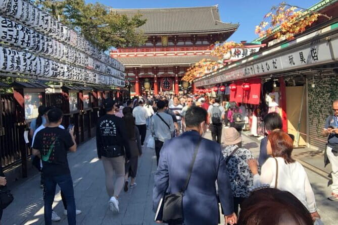 Tokyo Full Day Walking Tour with an Expert Local Guide - Key Points
