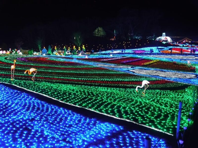 Tokyo: German Village Lighting and Farm Experience - Overview of the Experience