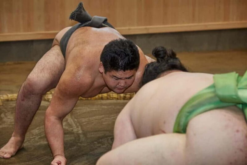 Tokyo Ginza : Sumo and Mikoshi Experience,Open from Sep. - What to Expect from the Tour
