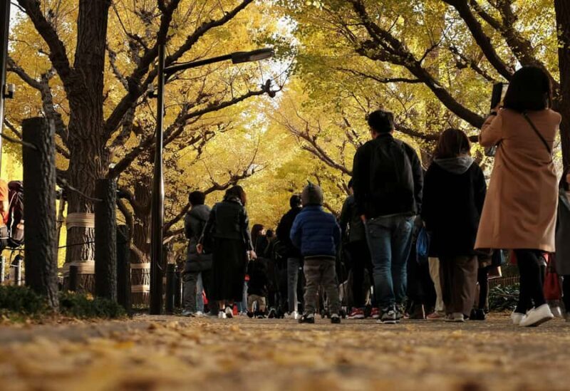 Tokyo: Golden Ginkgo Avenue Autumn Leaves Walk - Is It Worth the Price?