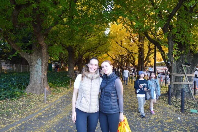Tokyo: Golden Ginkgo Avenue Autumn Leaves Walk - The Sum Up