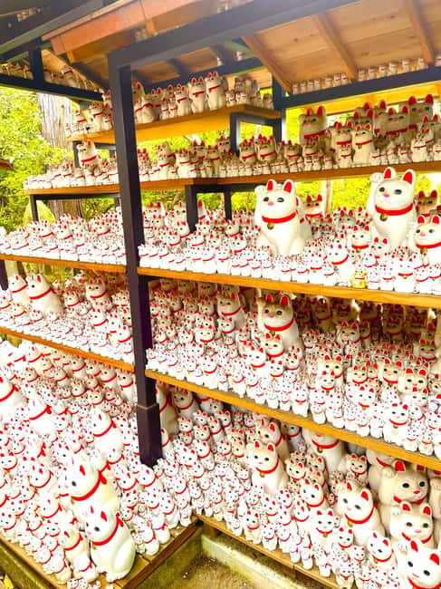 Tokyo: Gotokuji Cat Temple, Shinjuku Cat Cafe & 3D Cat Tour - Discover Tokyo’s Top Cat-Themed Attractions