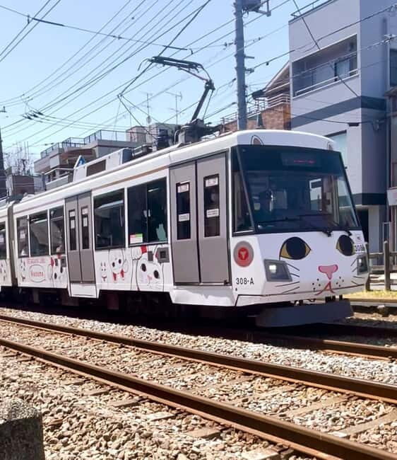 Tokyo: Gotokuji Cat Temple, Shinjuku Cat Cafe & 3D Cat Tour - Who Should Consider This Tour?