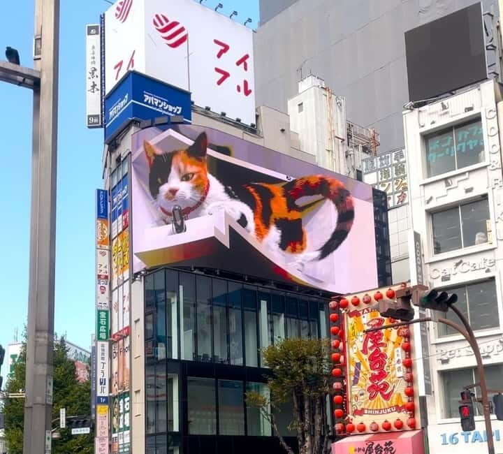 Tokyo: Gotokuji Cat Temple, Shinjuku Cat Cafe & 3D Cat Tour - Final Thoughts