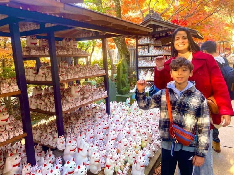 Tokyo: Gotokuji Lucky Cat Temple & Harajuku Shibuya Cat Café - What Is This Tour About?