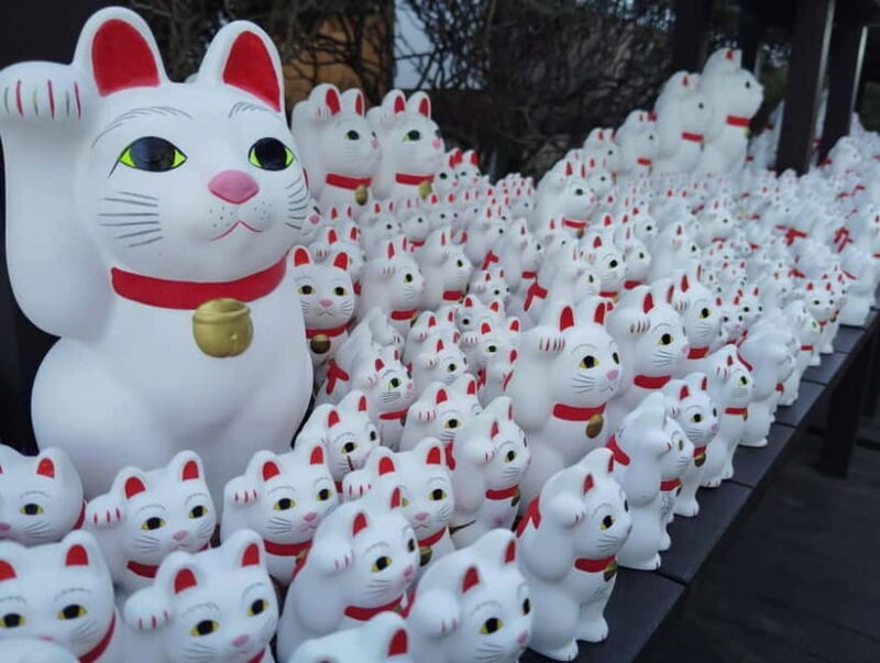 Tokyo: Gotokuji Temple Guided Tour with Manekineko Statues - A Closer Look at the Tour Experience