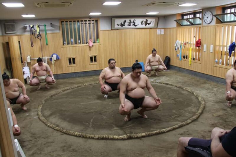 Tokyo: Grand Sumo Morning Training Tour - Key Points