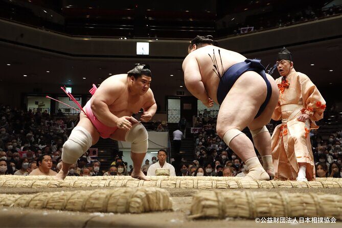Tokyo Grand Sumo Tournament Viewing Tour - Who Should Consider This Tour?
