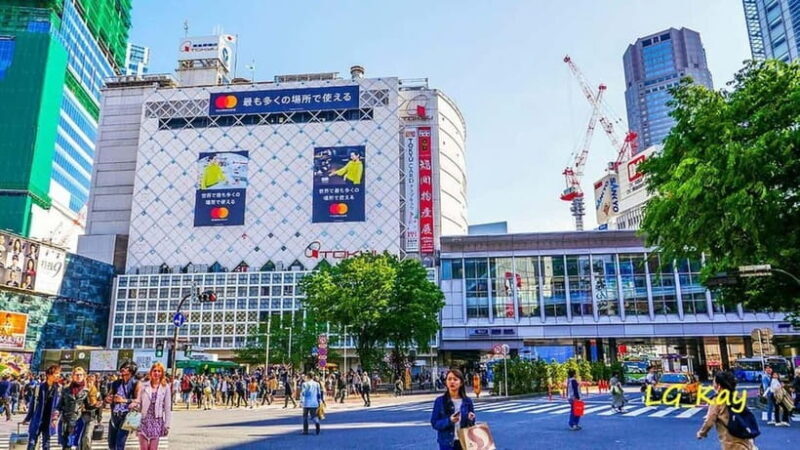 Tokyo: Guided Exploration with a Private Driver - The Value of Private Transportation in Tokyo