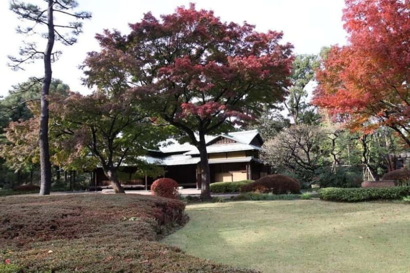 Tokyo: Guided Exploration with a Private Driver - What to Expect During Your Day