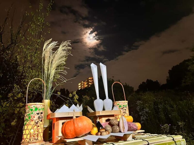 TOKYO: Guided Garden Tour with SP Dinner by E-bike -NIGHT - The Itinerary and Key Stops