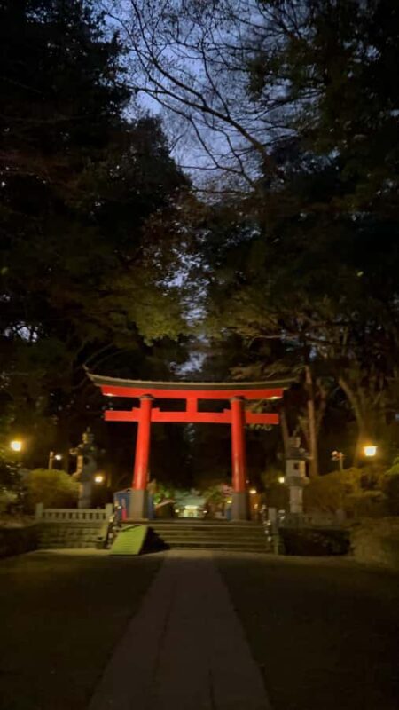 TOKYO: Guided Garden Tour with SP Dinner by E-bike -NIGHT - The Experience of E-Biking at Night