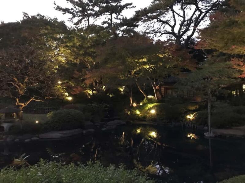 TOKYO: Guided Garden Tour with SP Dinner by E-bike -NIGHT - Practical Details and Value