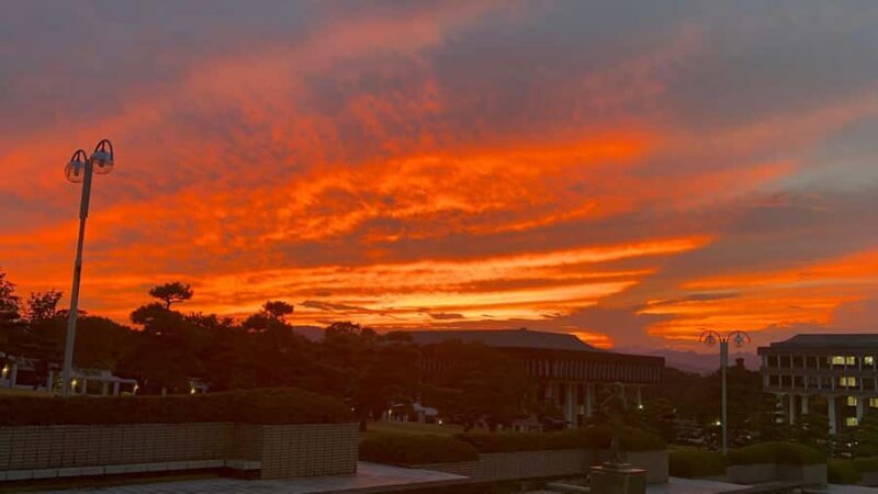 TOKYO: Guided Garden Tour with SP Dinner by E-bike -NIGHT - Final Thoughts: Who Should Consider This Tour?