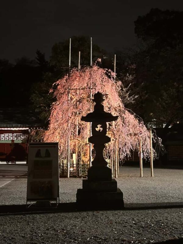 TOKYO: Guided Garden Tour with SP Dinner by E-bike -NIGHT - FAQs