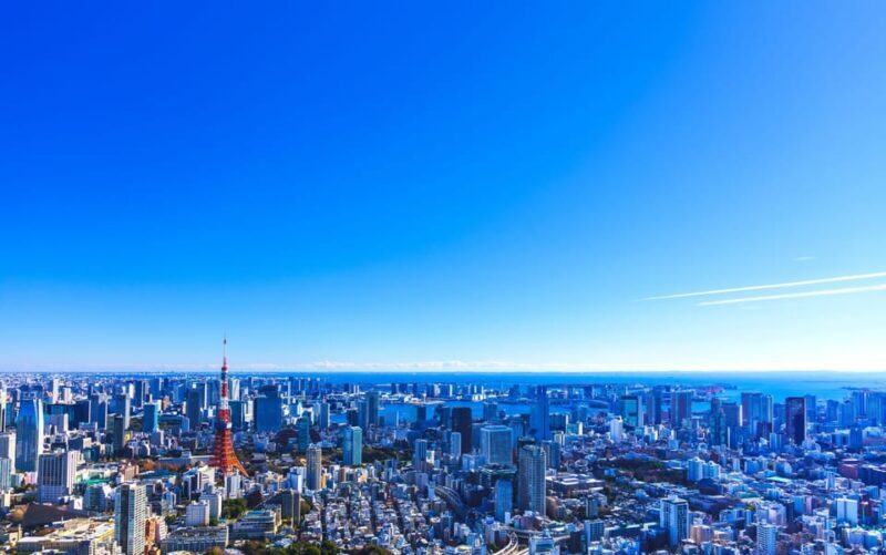 Tokyo: Guided Helicopter Ride with Mount Fuji Option - Introduction