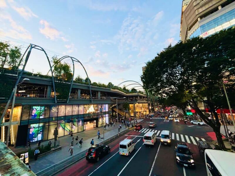 Tokyo Guided Tour: Omotesando, Takeshita dori, Meiji Jingu, and Shibuya - Exploring Tokyo in 4 Hours: A Guided Walk Through the City’s Most Famous Spots