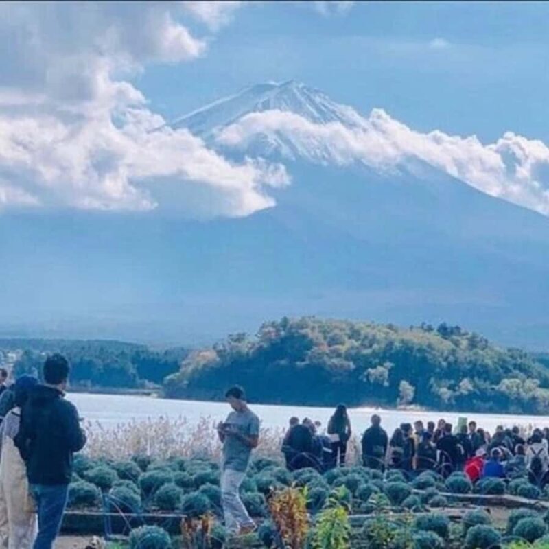 Tokyo Hakone Full Day Private Customised Itinerary In Prado - An In-Depth Look at the Tour