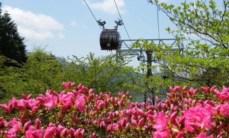 Tokyo: Hakone, Lake Ashi & Gotemba Outlets Day Trip - An Introduction to the Day Trip Experience