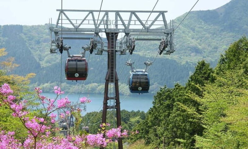 Tokyo: Hakone, Lake Ashi & Gotemba Outlets Day Trip - The Value of the Tour